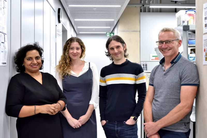 The air we breathe sucks toxic microplastics into our bodies, Professor ...